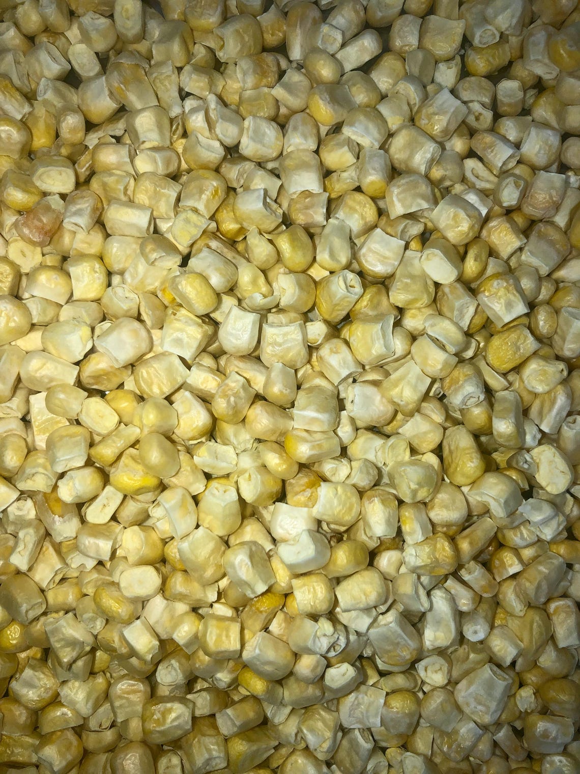 Freeze Dried Mouse Treats: Fruit & Veggie Mix, Natural Foraging Food - Etsy