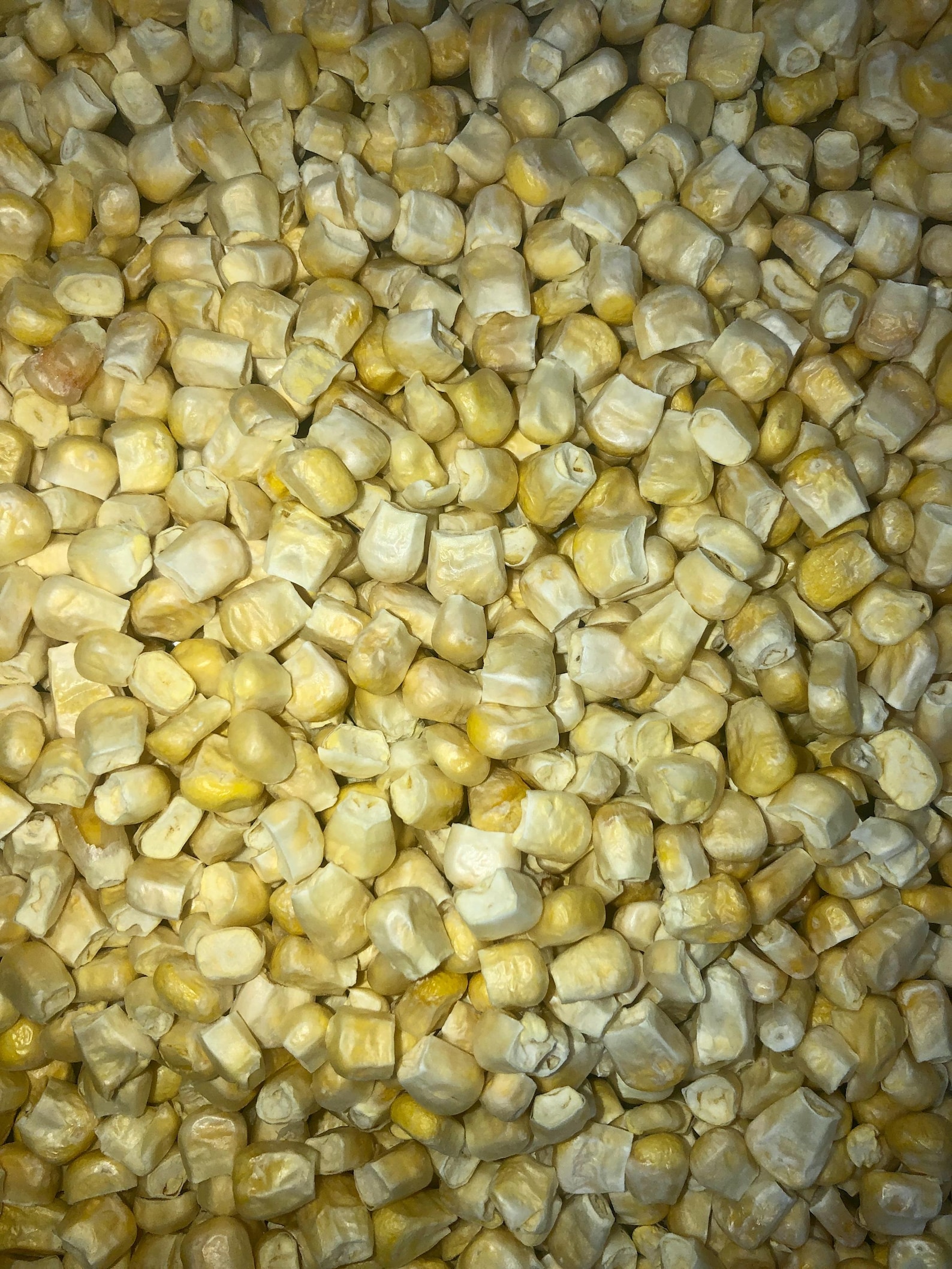 Freeze Dried Mouse Treats: Fruit & Veggie Mix, Natural Foraging Food - Etsy