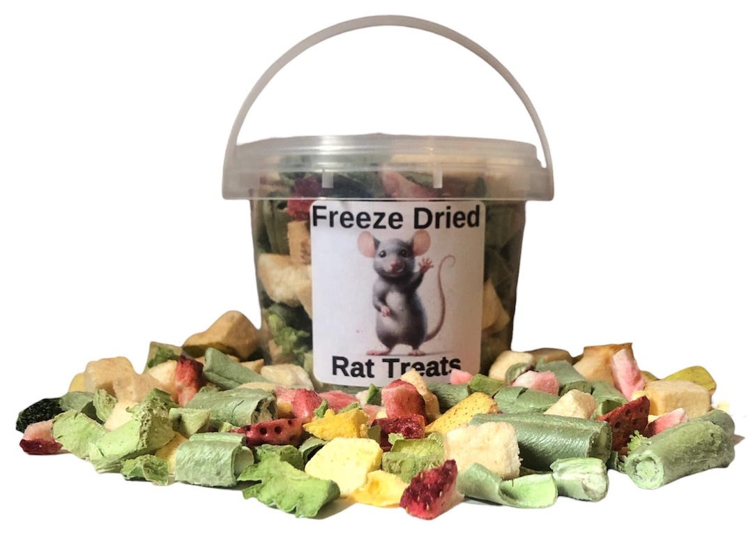 Rat Treat Mix Freeze Dried Veggies & Fruit Snack 1oz Bucket of Mango ...