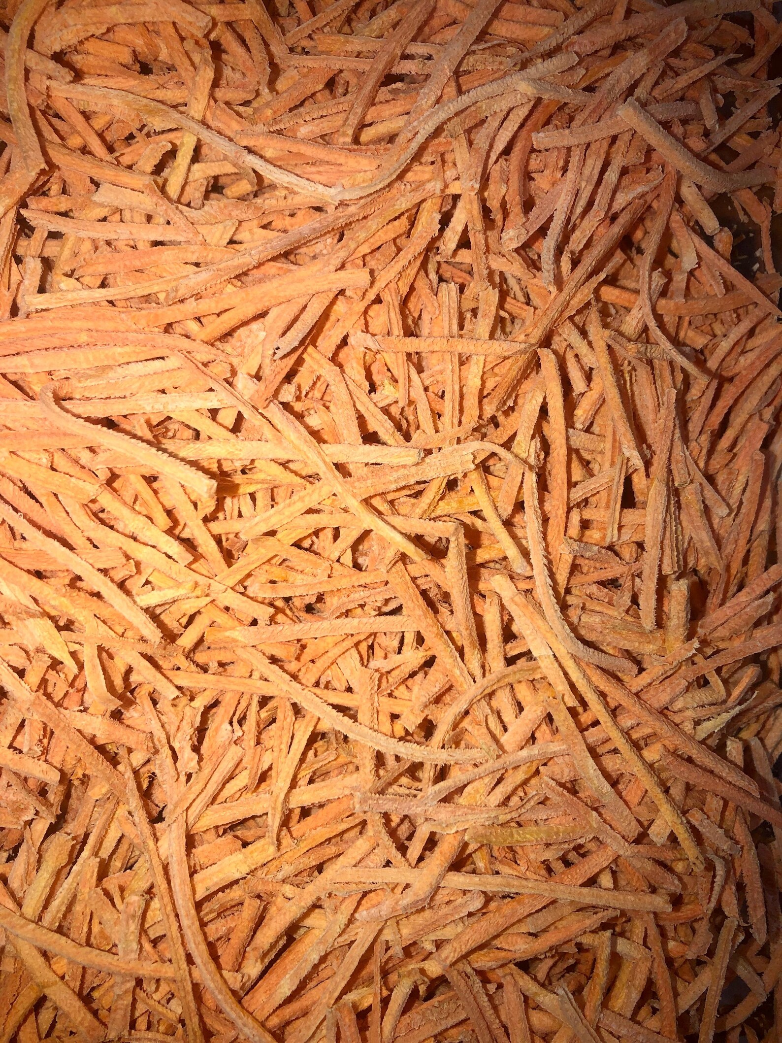 Freeze Dried Mouse Treats: Fruit & Veggie Mix, Natural Foraging Food - Etsy