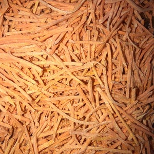 Freeze Dried Mouse Treats: Fruit & Veggie Mix, Natural Foraging Food - Etsy