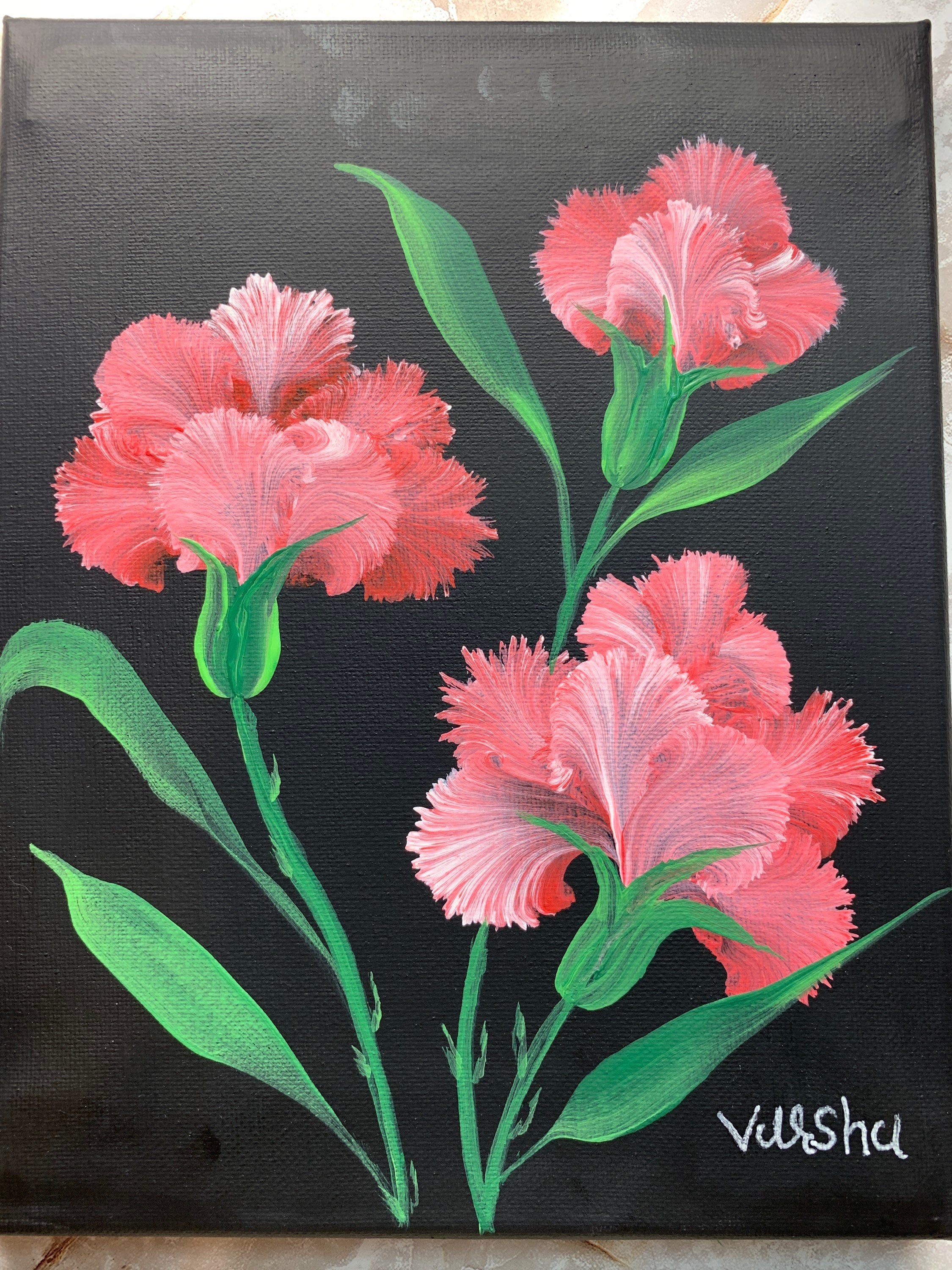 Carnation Flower Paintings