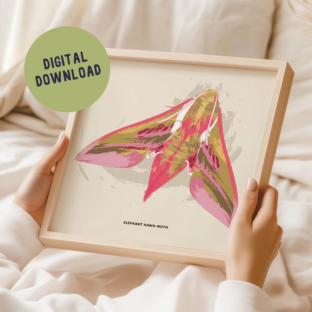Elephant Hawk-moth Illustration With Name, Boys or Girls Room Bug Wall ...