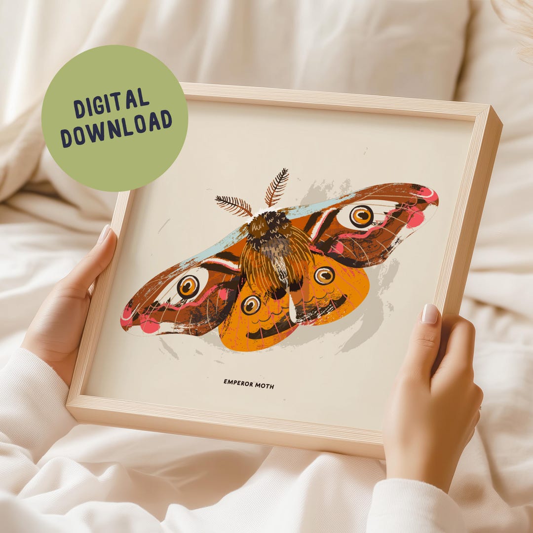 Emperor Moth Illustration With Name, Boys or Girls Room Bug Wall Art ...