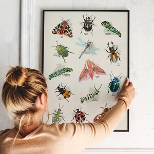 A2 Insect Print With Names for Boys Room, Bug Illustration, Beetles, Caterpillars, Moths ...