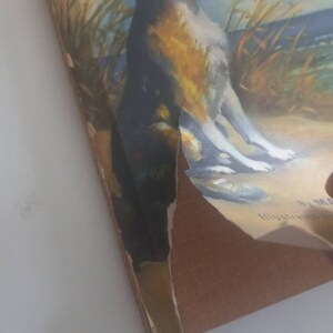 Muley Ears Nobody's Dog Hardcover Book 1959 First Edition FREE SHIP - Etsy