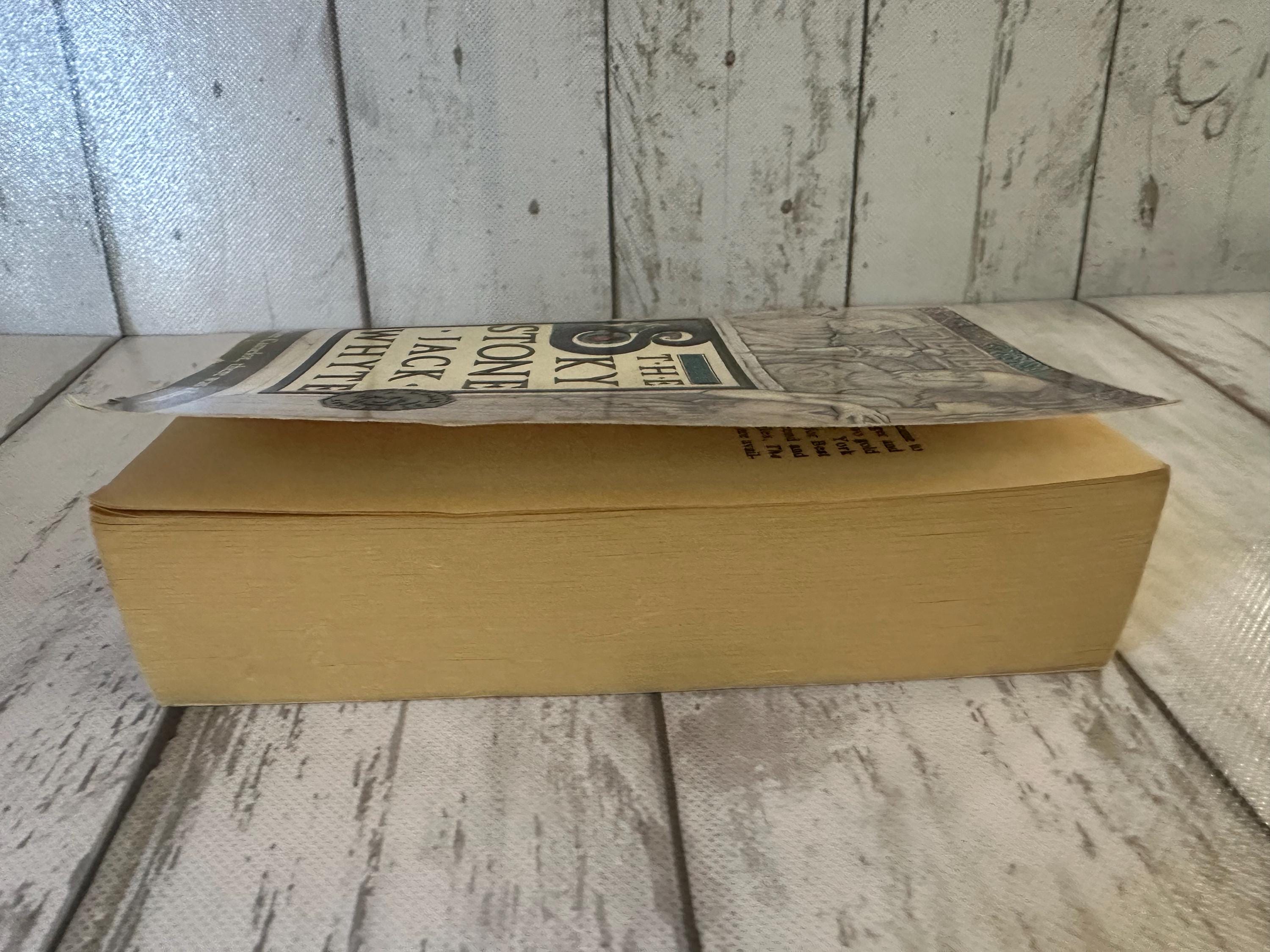 The Skystone~ 1993 Paperback Edition~ 1st International Edition~ FREE ...