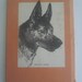 Muley Ears Nobody's Dog Hardcover Book 1959 First Edition FREE SHIP - Etsy