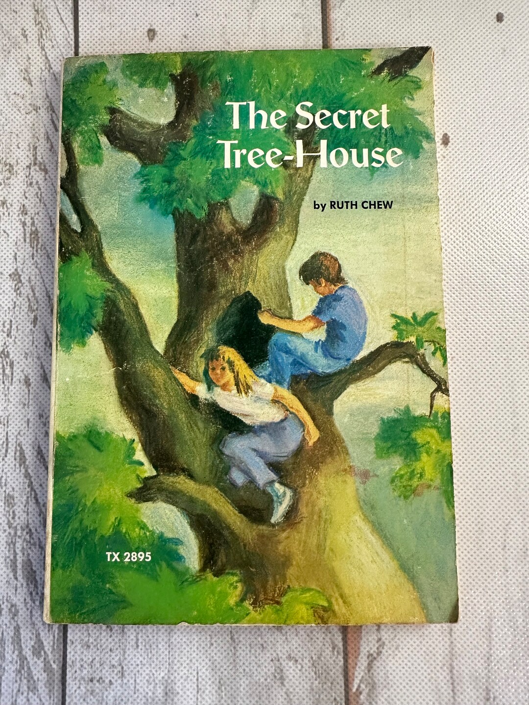 The Secret Tree-house 1st Edition Printing 1974~ by Ruth Chew~ Young ...