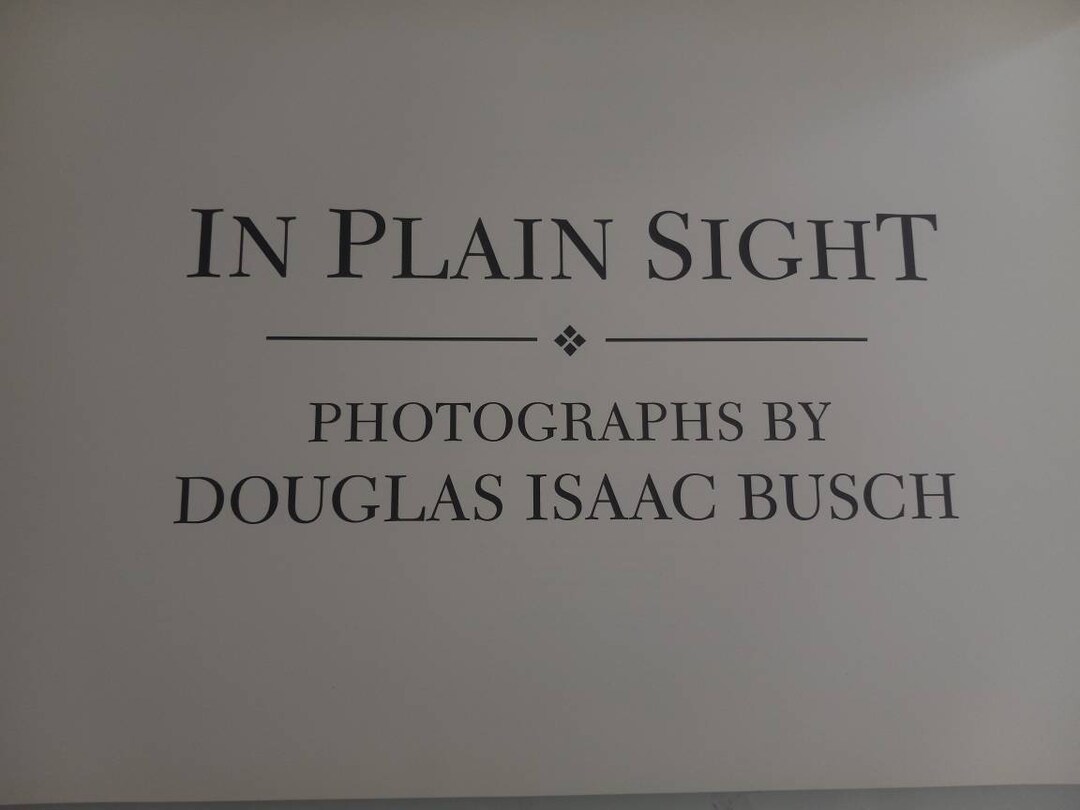 In Plain Site: Photographs by Douglas Isaac Busch, 1993, 1st Edition ...