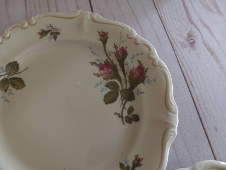 Vintage Rosenthal Selb Germany Pompadour Moss Rose 6 3/8 - Etsy