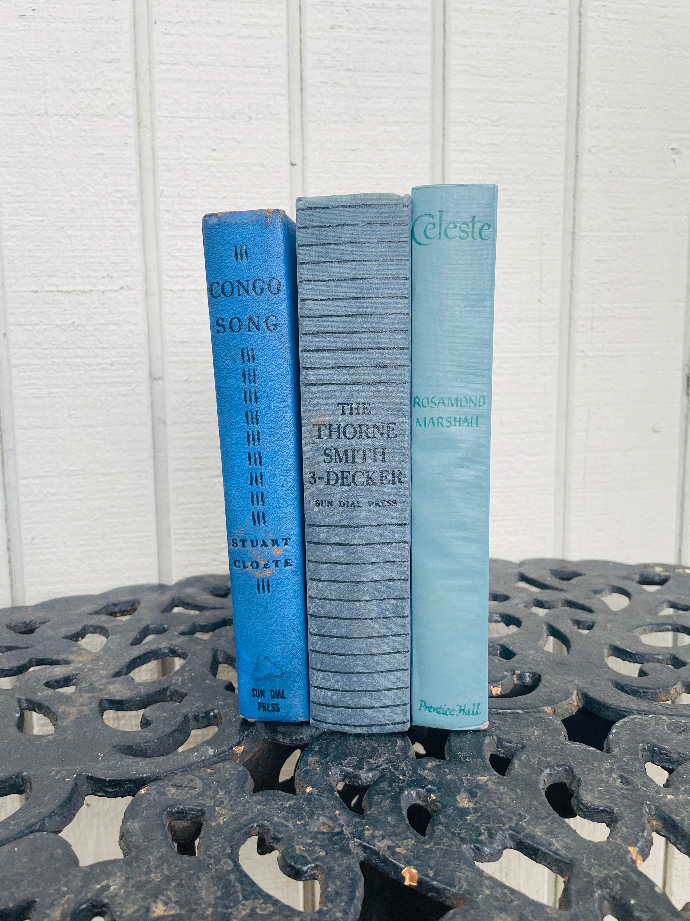 Blue Book Set Vintage Books Book Collection | Etsy