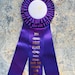 Satin Award Ribbons- Trophy - Award - Art Ribbons - Artist - Etsy