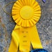 Satin Award Ribbons- Trophy - Award - Art Ribbons - Artist - Etsy