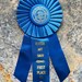 Satin Award Ribbons- Trophy - Award - Art Ribbons - Artist - Etsy
