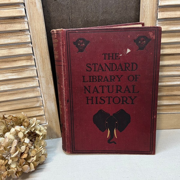 Natural History - Etsy