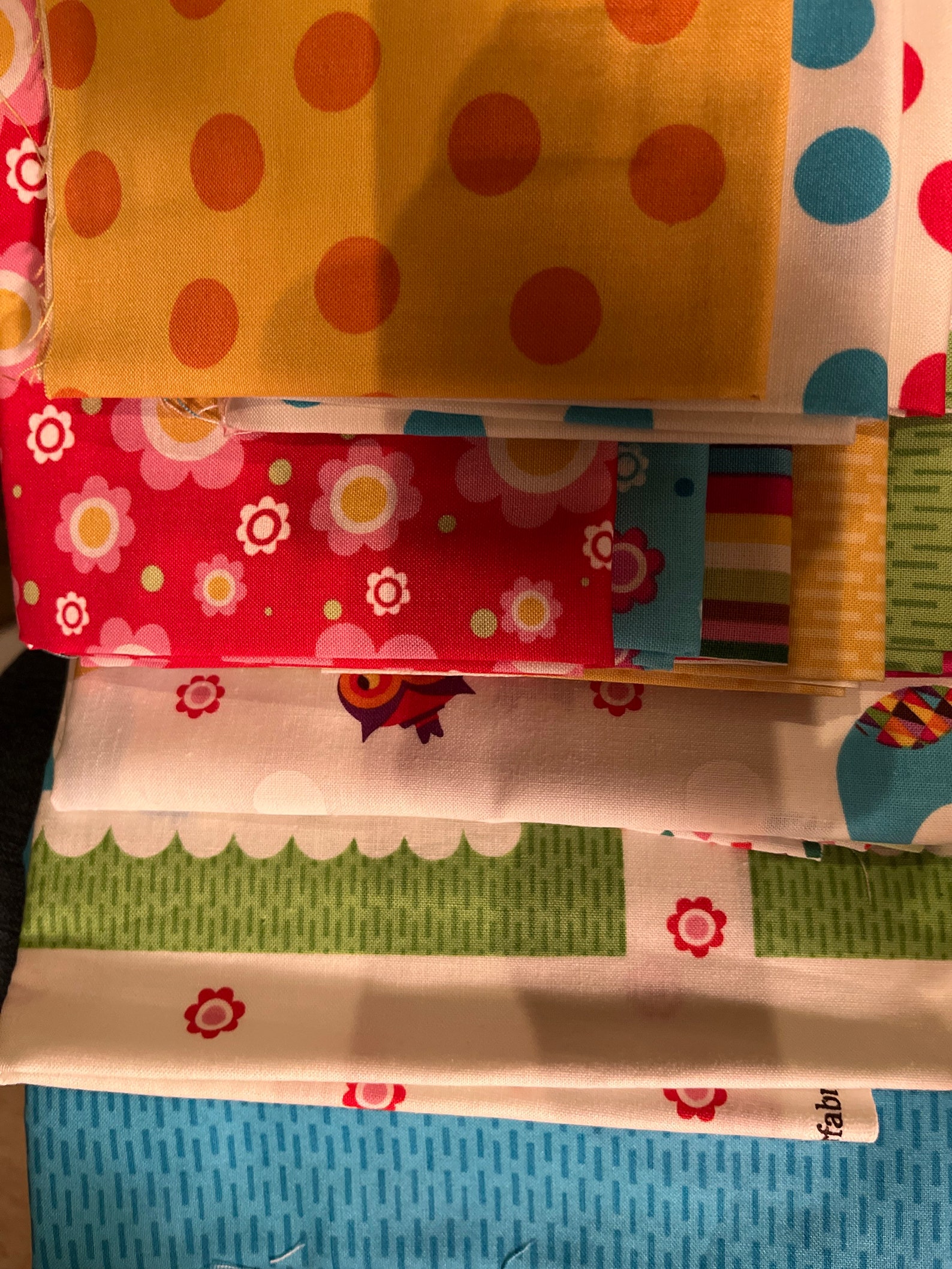 Rainbow Zoo Quilt Kit by Melanie Greseth and Joanie Hilton for - Etsy