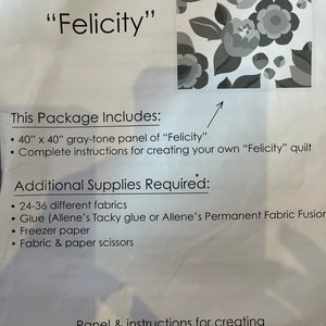 Felicity Foundation Fabric Panel and Complete Instructions for Creating Your Own Collage Quilt ...