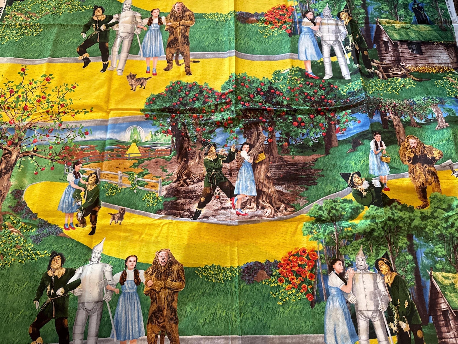 Elegant Wizard Of Oz Fabric Pictures