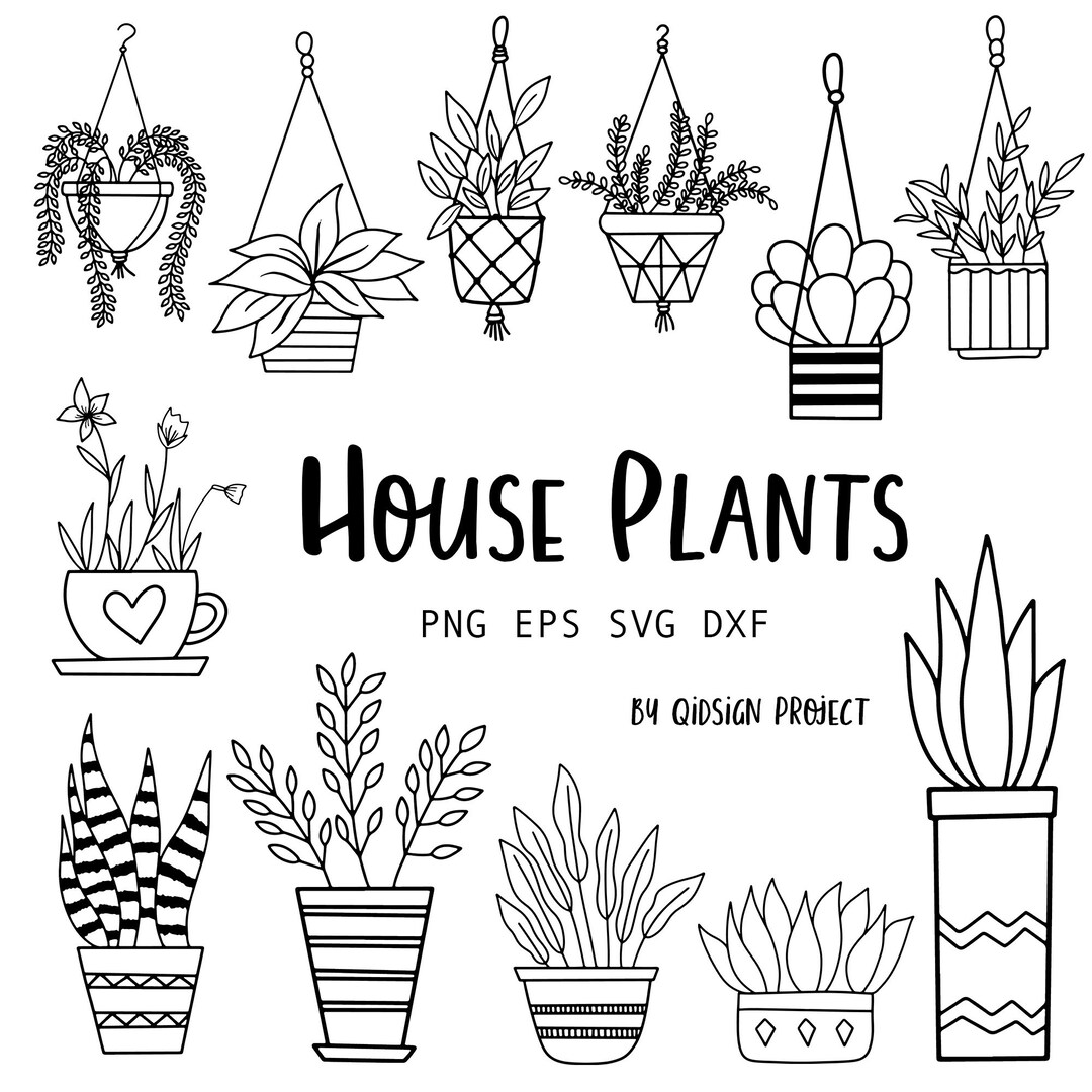 12 Plants Svg, Potted Plants, House Plants, Flower Pot, Botanical Svg ...