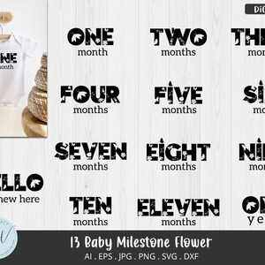 13 Set Baby Milestone Flower SVG, Hello World Svg, Baby Milestone Svg ...