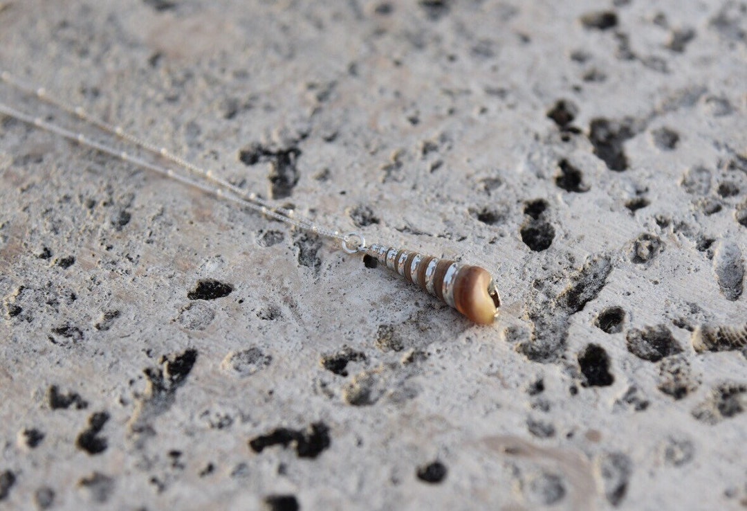 Sterling Silver Turret Sea Shell Necklace - Etsy
