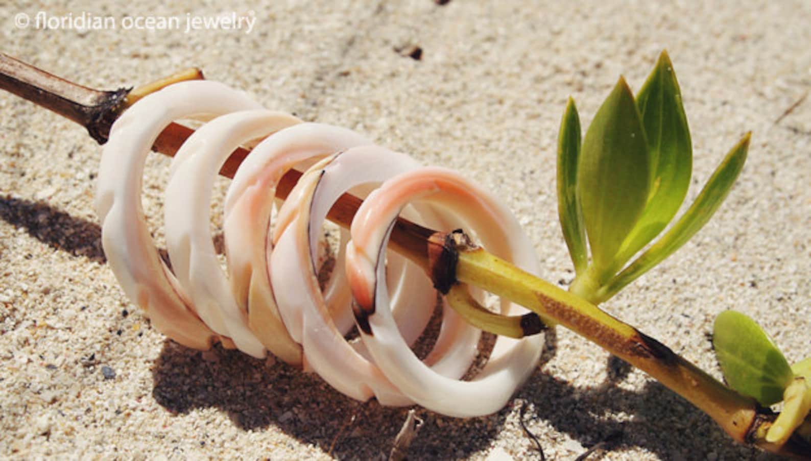 Shell Rings - Etsy