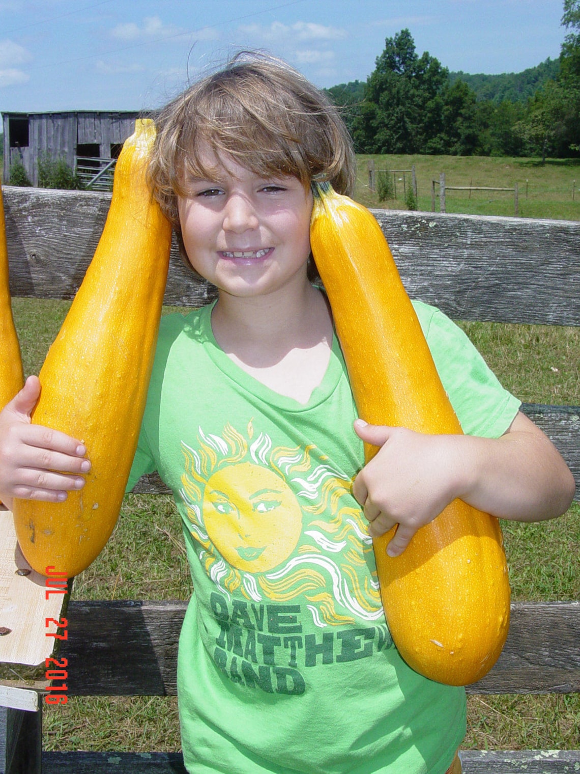 SUPER GIANT YELLOW Zucchini Squash Seeds / Award Winning | Etsy