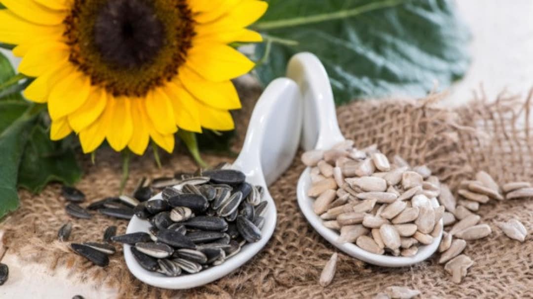 SUPER SNACK MIX Sunflower Seeds for Your Garden / Grown Specifically ...