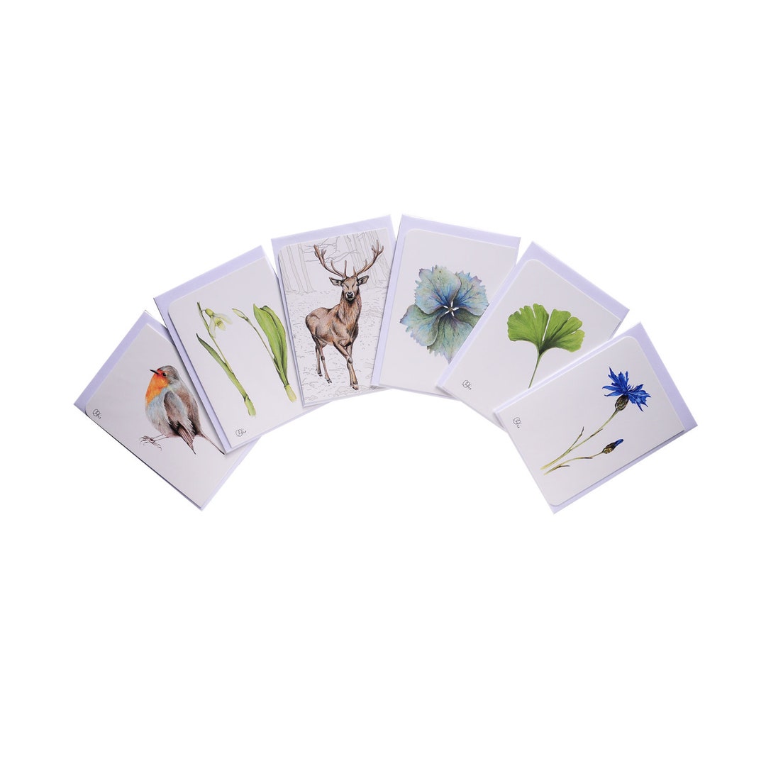 Greeting Cards A6 With Robin Deer Snowdrops Hydrangea - Etsy