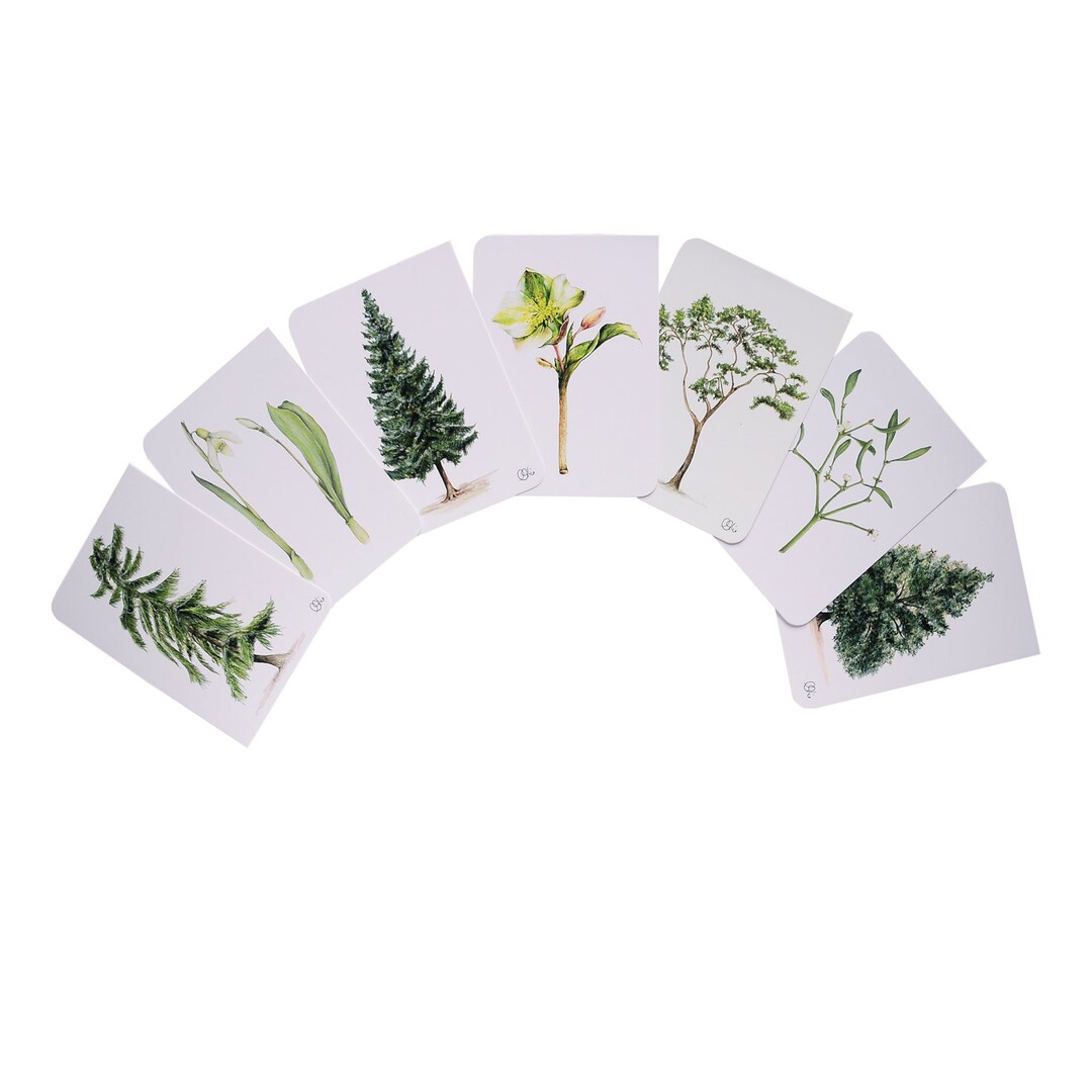 Postcards Green Nature Greeting Cards Drawn Plant Motifs - Etsy