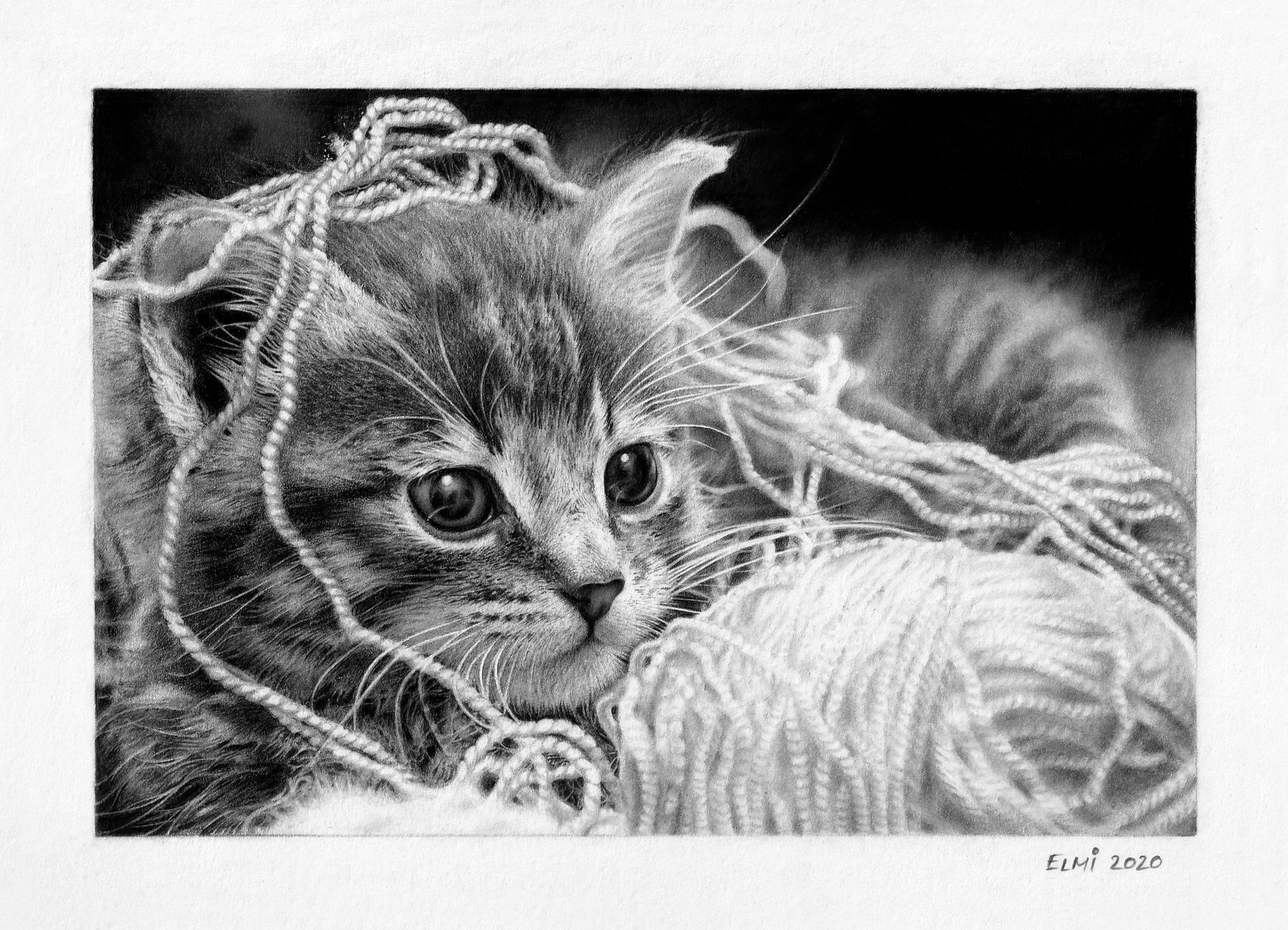 Kitten Kitty Cat Pussycat Graphite Pencil Drawing Print Realistic Hyperrealism Cute Adorable Kawaii Animal Pet Portrait Black White Gift