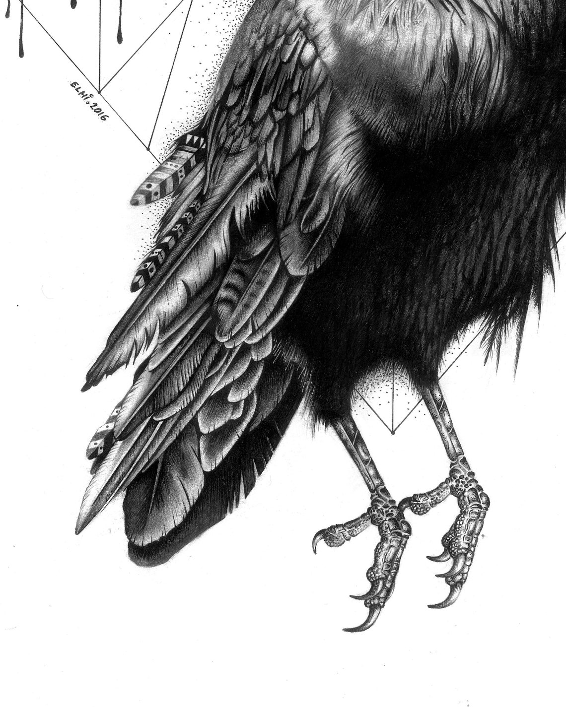 Crow Raven Art Illustration Drawing Graphite Pencil Ink Pen - Etsy