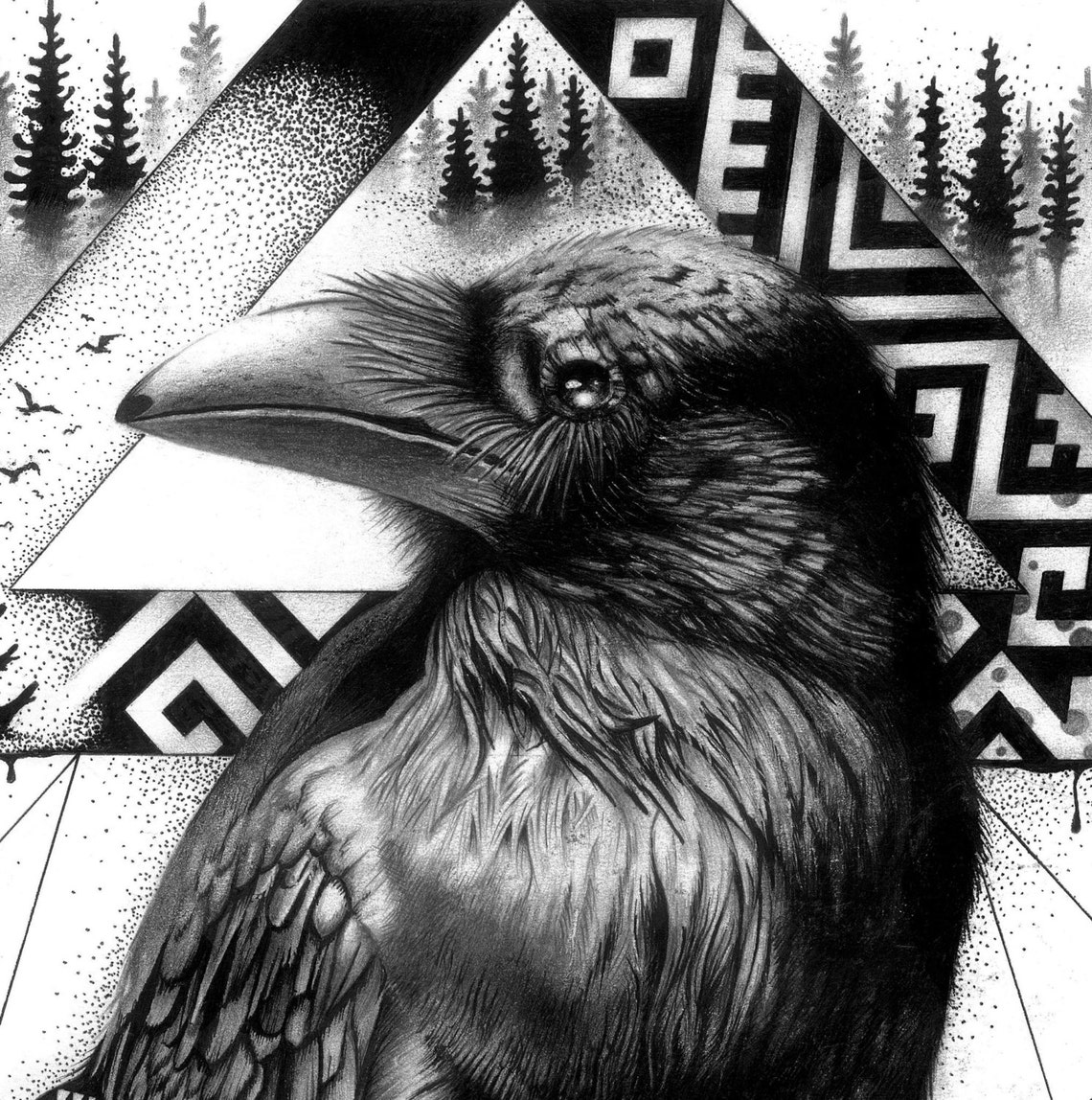 Crow Raven Art Illustration Drawing Graphite Pencil Ink Pen | Etsy