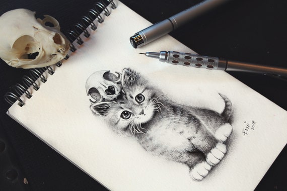 Schedel Tekening In Potlood