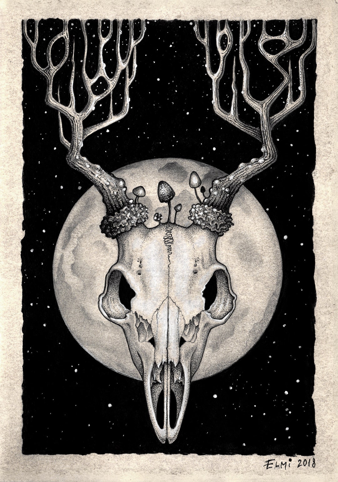 Deer Skull Moonlight Lunar Full Moon Witch Wicca Pagan Witchcraft ...