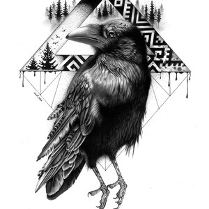 Crow Raven Art Illustration Drawing, Graphite Pencil Ink Pen Original ...