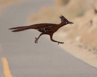 Roadrunner Southwest Desert Agave Die Cut Magnet - Etsy