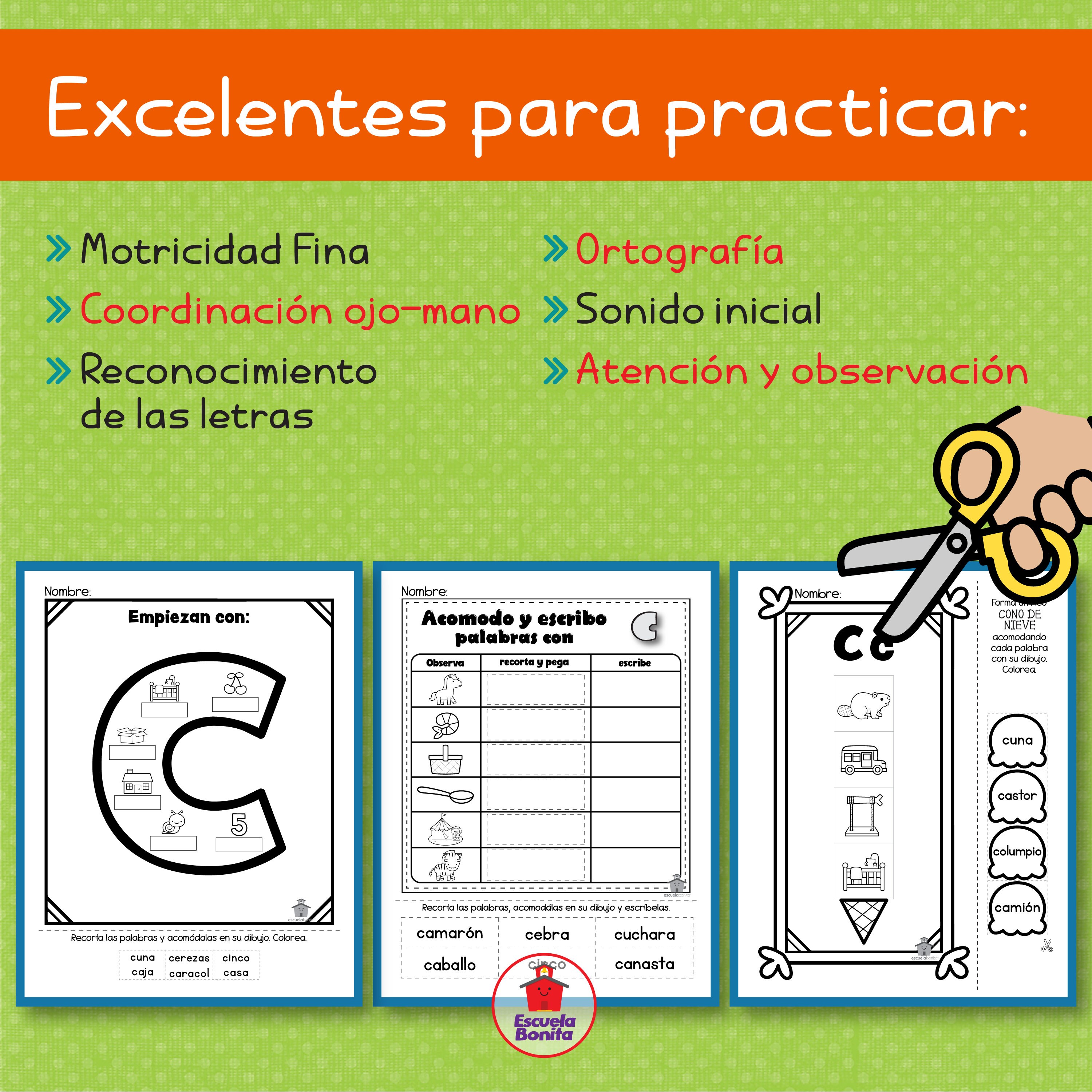 ACOMODANDO PALABRAS Con El Abecedario / Spanish Alphabet arranging ...
