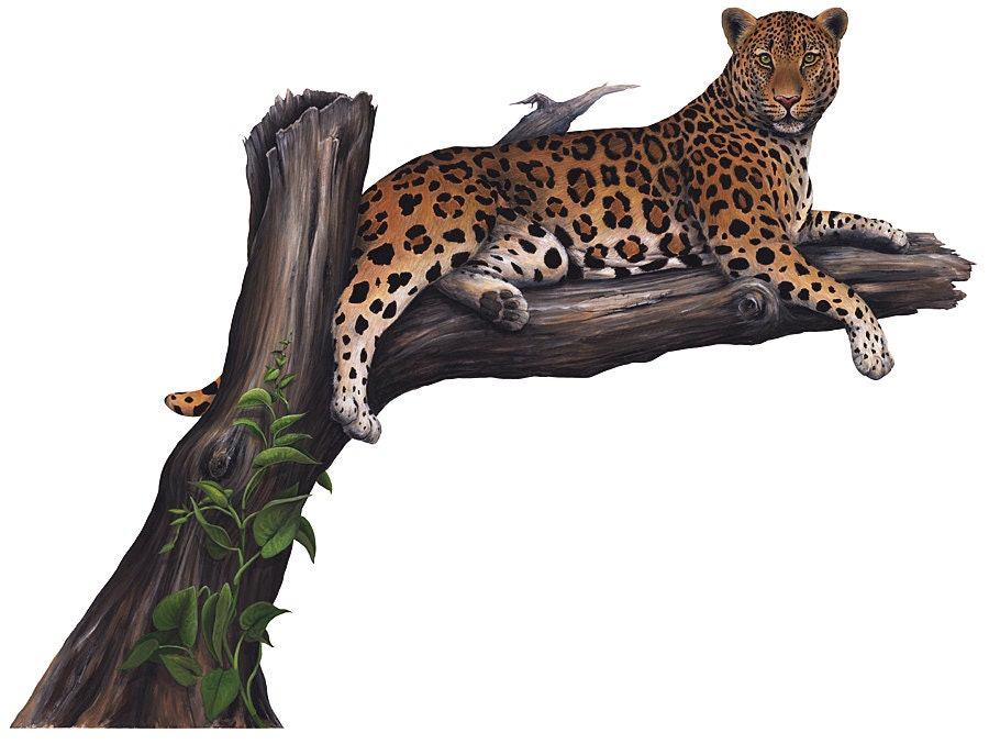 Leopard Wall Decal Sticker 58 X 45 In Etsy