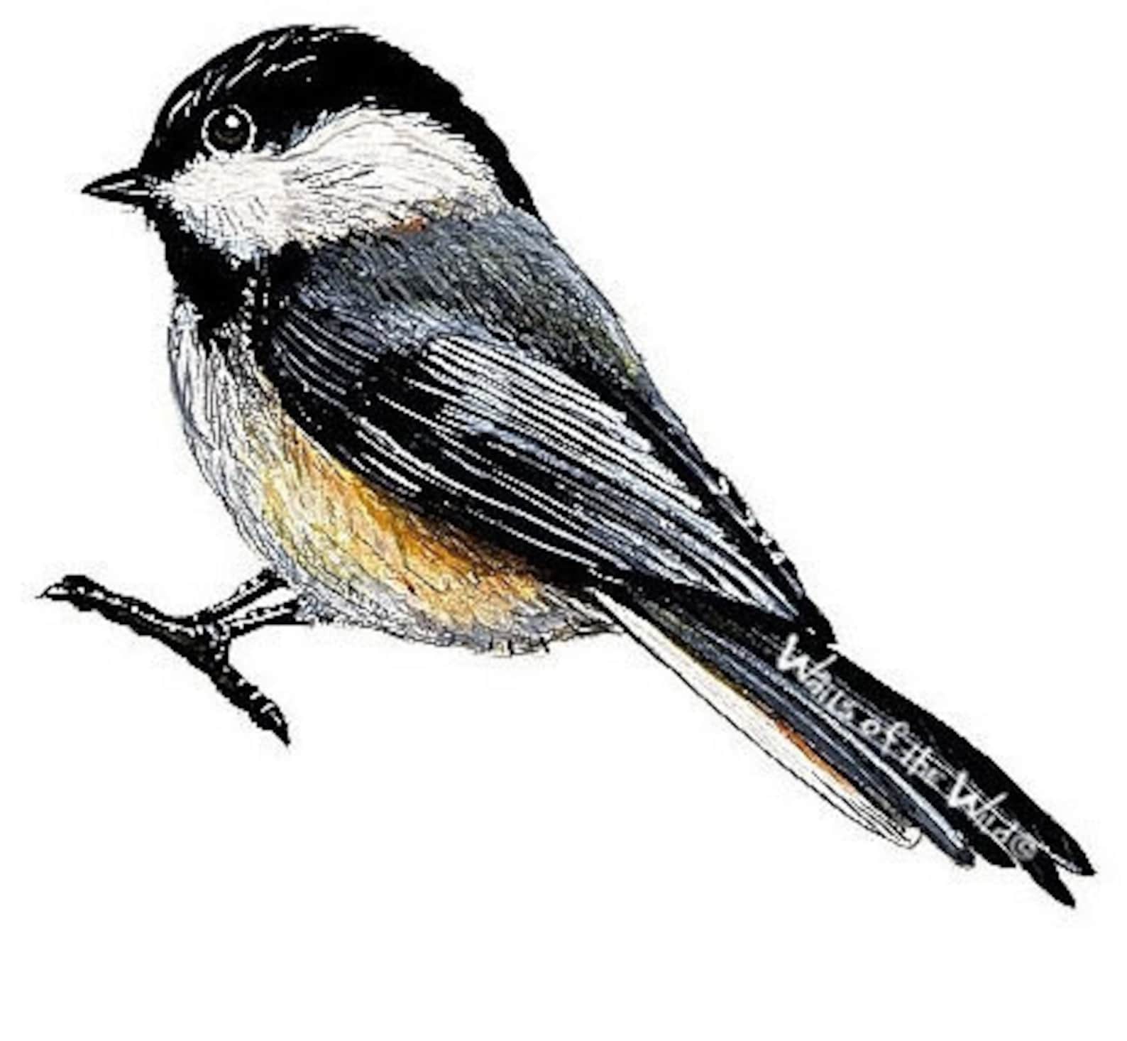 Chickadee Wall Decal - Etsy