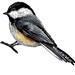 Chickadee Wall Decal - Etsy
