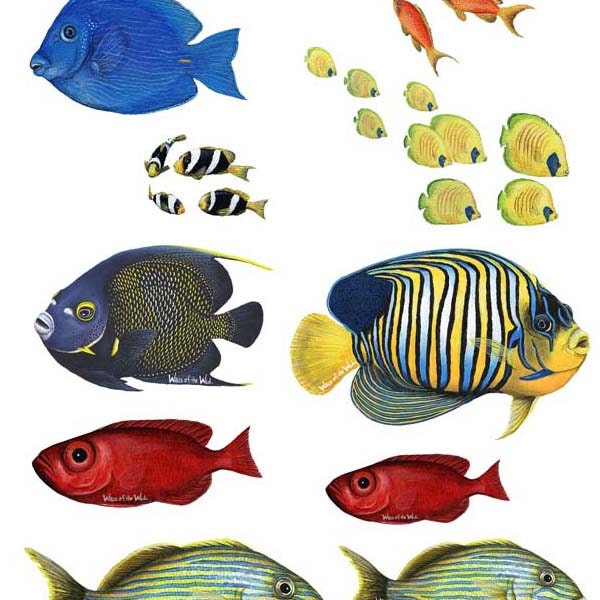 Tropical Fish - Etsy