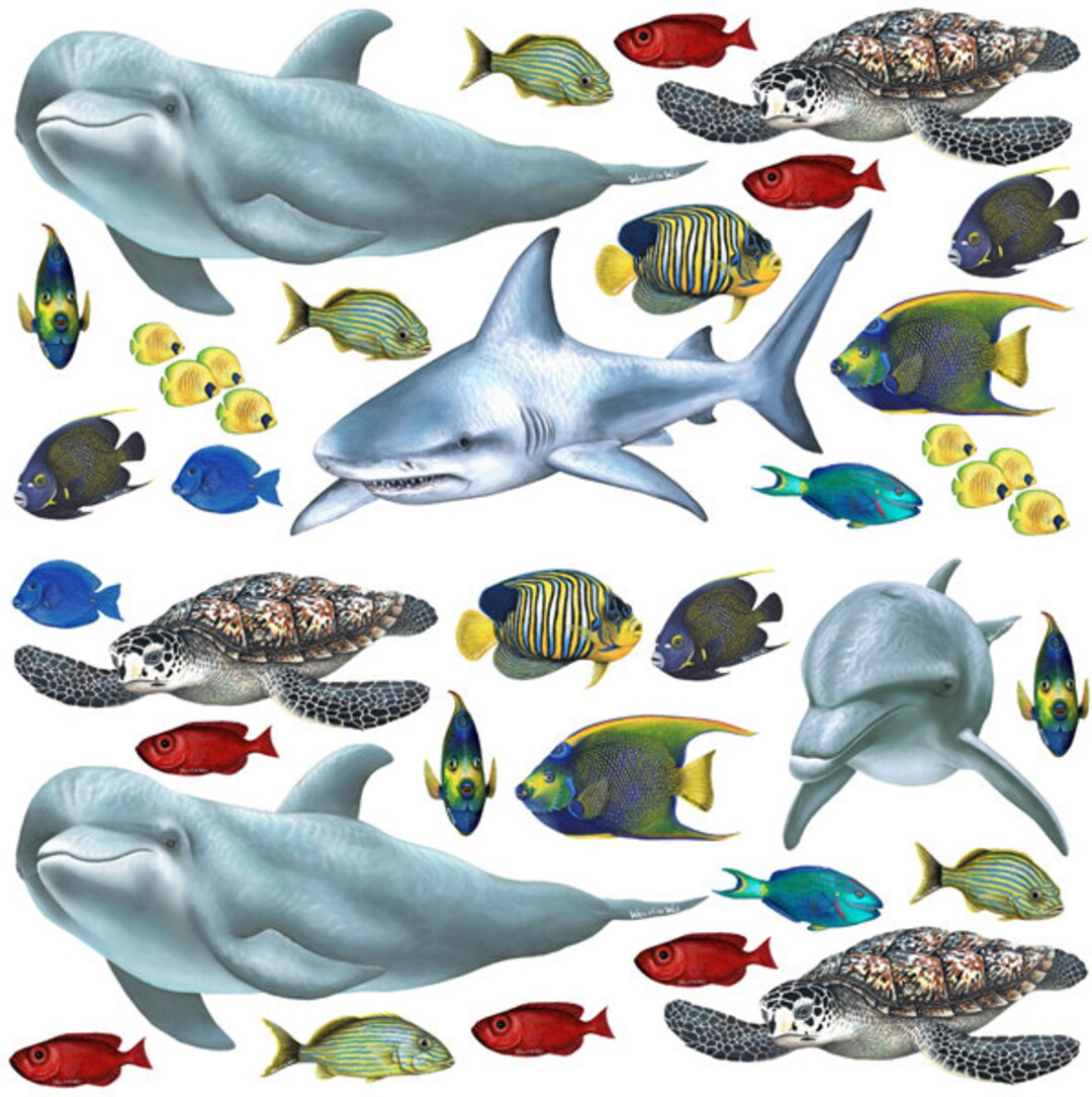 Tropical Fish and Sea Creatures Panel Collection (48 In. X 48 In.) - Etsy