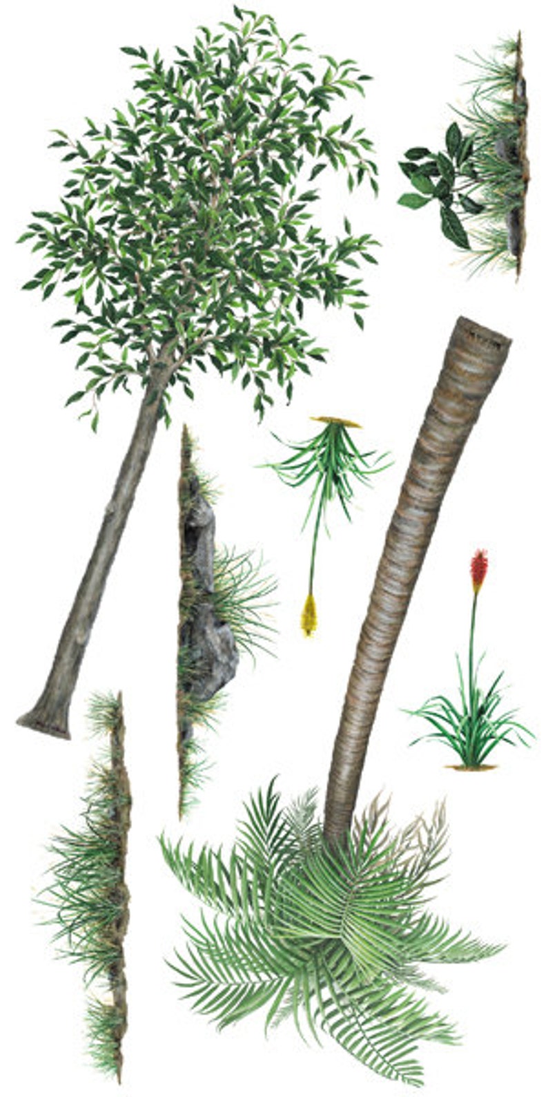 Plants and Trees Sticker Murals Collection Wall Stickers (24 In. X 48 ...