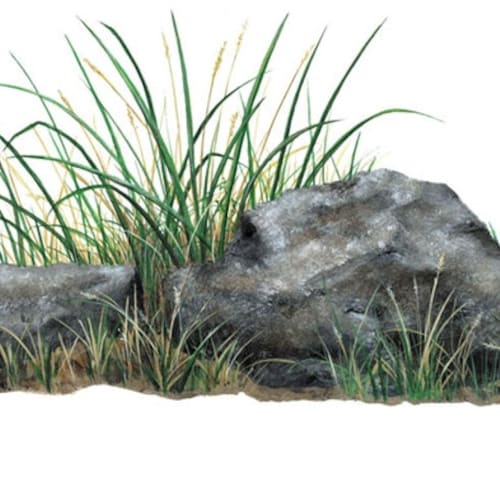 Wall Decals Grass Home Décor Kitchen Décor Grass Decal - Etsy