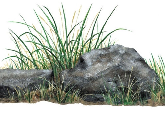 Rocks & Grass Wall Decal - Etsy