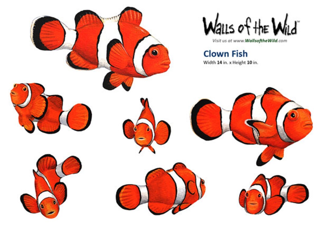 Clown Fish Nemo Style Assortment Wall Decal - Etsy