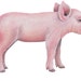 Pig Side View Wall Decal - Etsy