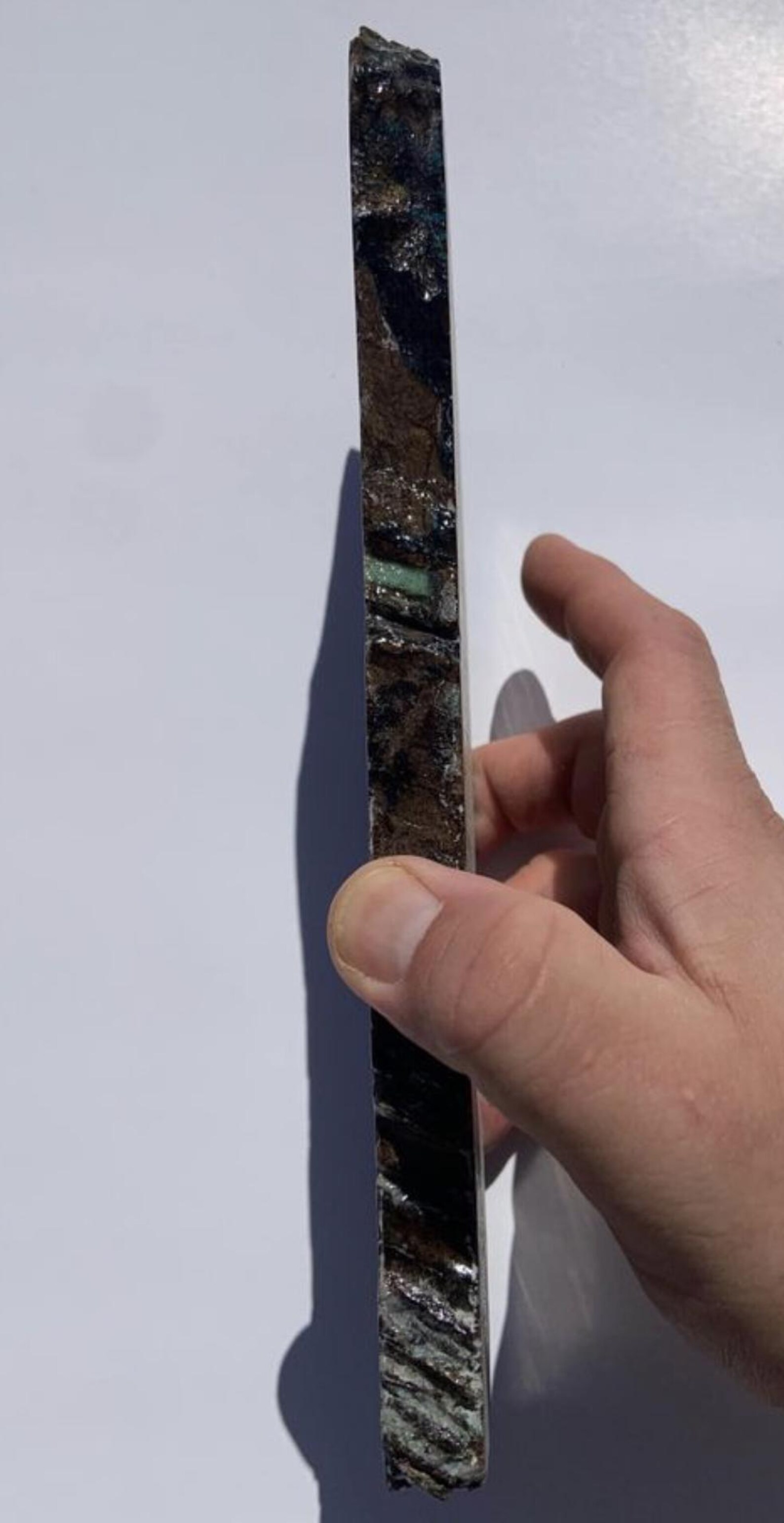 Wooly Mammoth Tooth Slab From Yakutia, Siberia Ships From Texas - Etsy